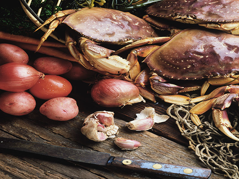 Warmer waters may mean more toxic shellfish - UPI.com