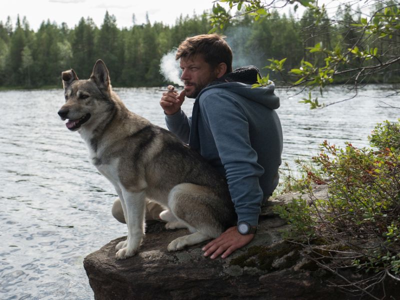 Pets at increased health risk from cigarette smoke residue - UPI.com