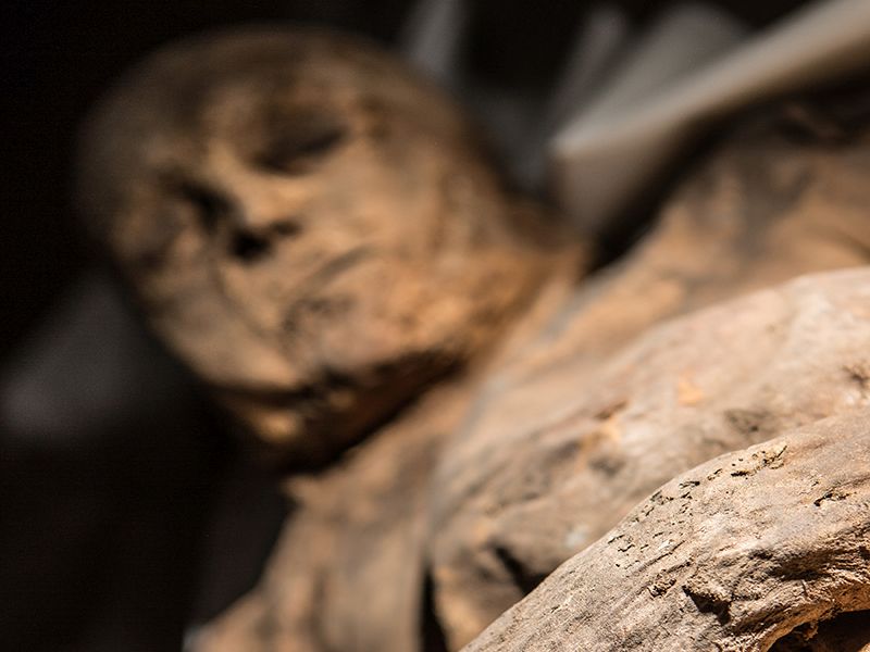 17th-century mummy may alter the history of smallpox - UPI.com